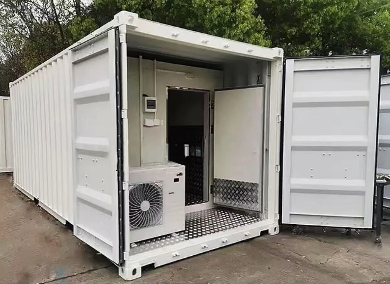 Refrigerated Freezer 20 Feet 40 Feet - High Productivity