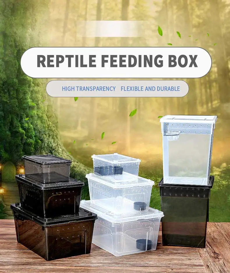 Reptile Breeding Box Insect Keeper Terrarium Reptile Terrarium Turtle ...