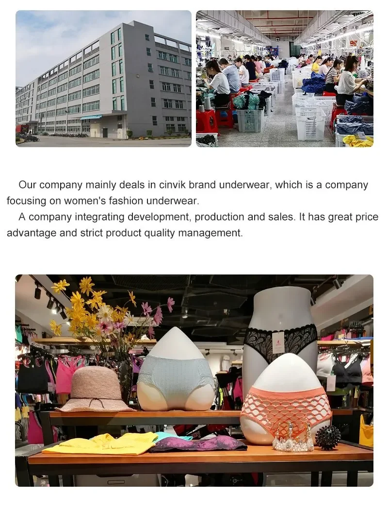 Sexy Panties Ladies Briefs Women Underwear Lace Thong Seamless Soft ...