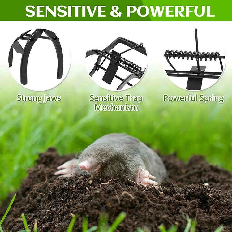 Mole Traps - Eco-Friendly Mole Eliminators for Home & Lawn