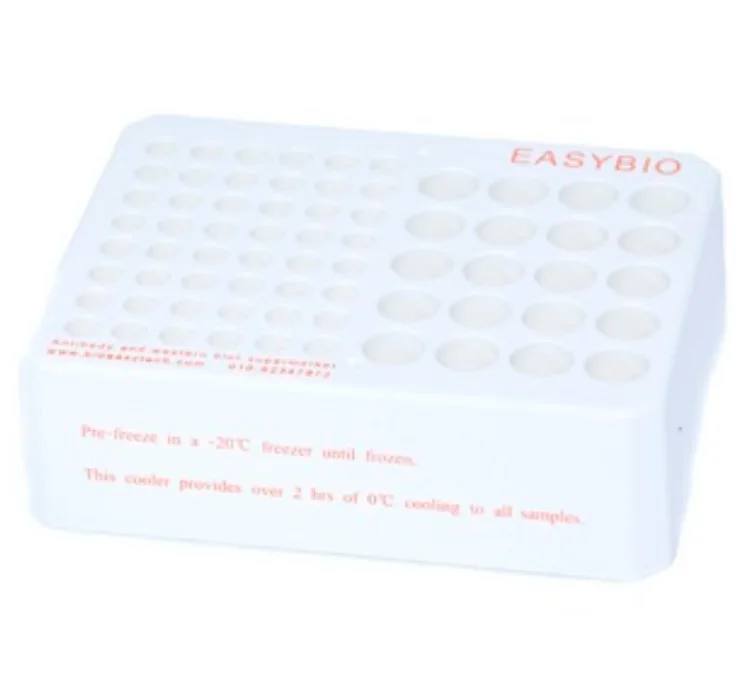 Be6847 Laboratory Ice Free Pcr Tubes Cooler Tube Rack Block Coolbox ...