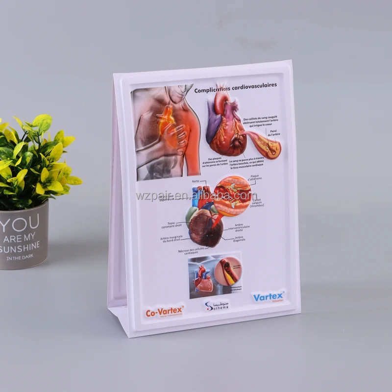 High Quality 3d Poster Medical 3d Embossed Advertisement Wall Chart ...