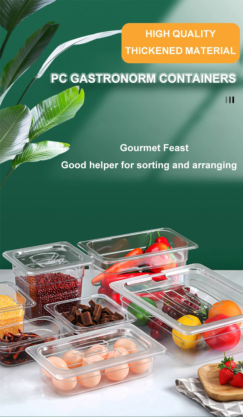 PC GN PAN 1/1 H65 - Durable Clear Plastic Food Container