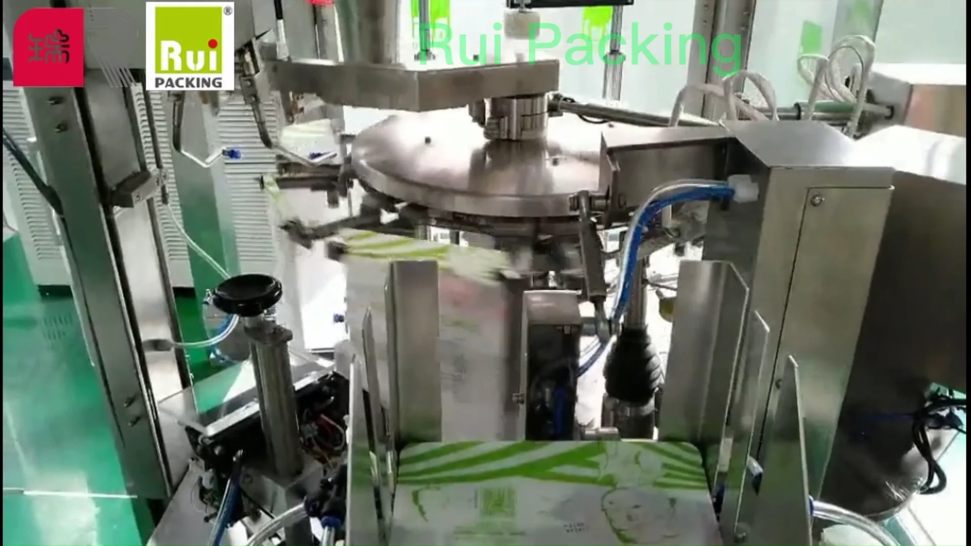 Rui Packing R8-200 Rotary Granule Snack Packing Machine For Doypack And ...