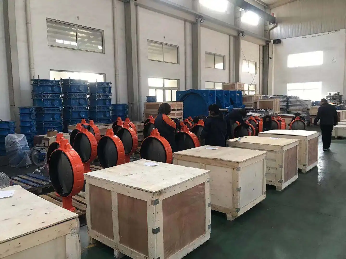 DN800 Double Flanged Butterfly Valve - GGG40 Body CF8M Disc PN10