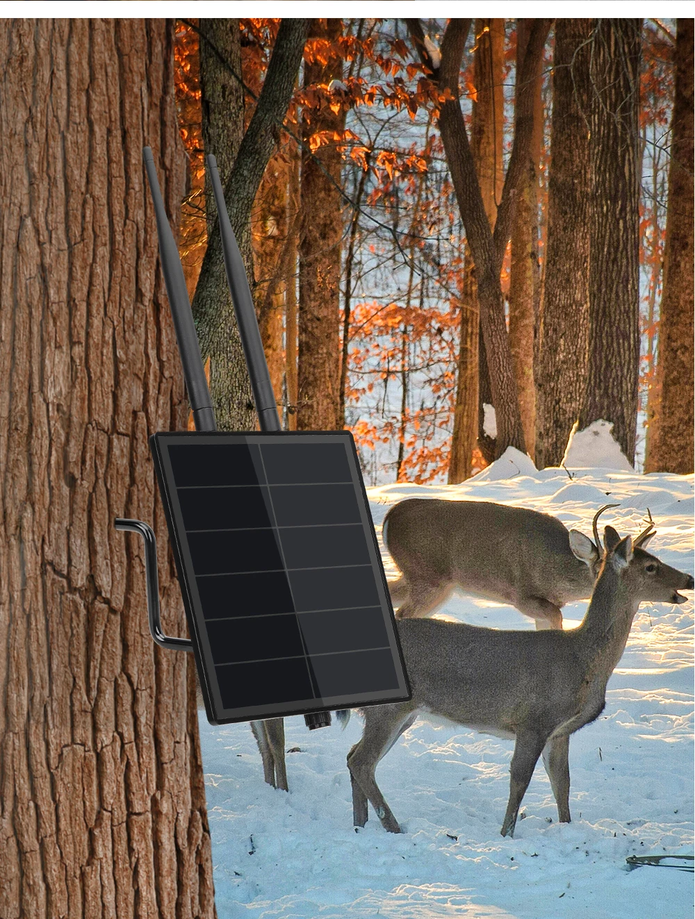 Iot Meshtastic Lora System with Solar Panel 5w Built in Controller ...