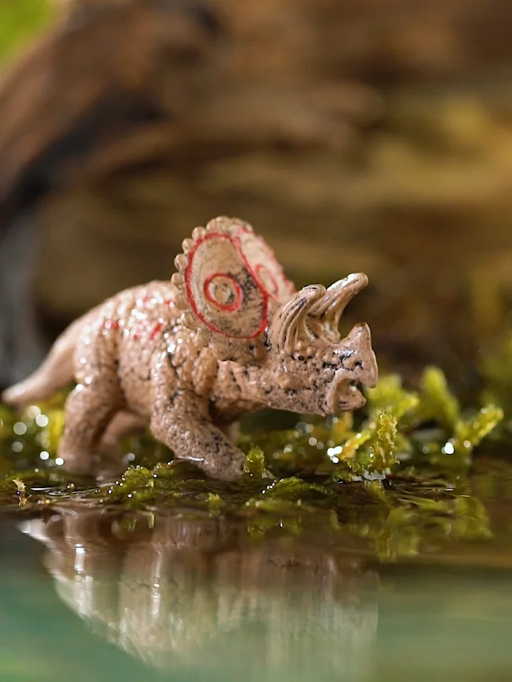 Mideer Md1213 Dinosaur Set 24pcs Model Dinosaur Wild Play Set ...