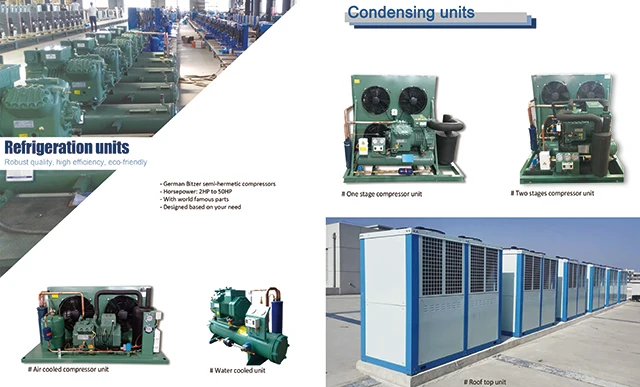 30HP Bitzer Double Stage Compressor S6F-30.2Y - Energy Efficient ...