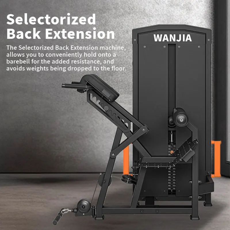 Professional Plate Loaded Selectorized Back Extension Equipment for ...