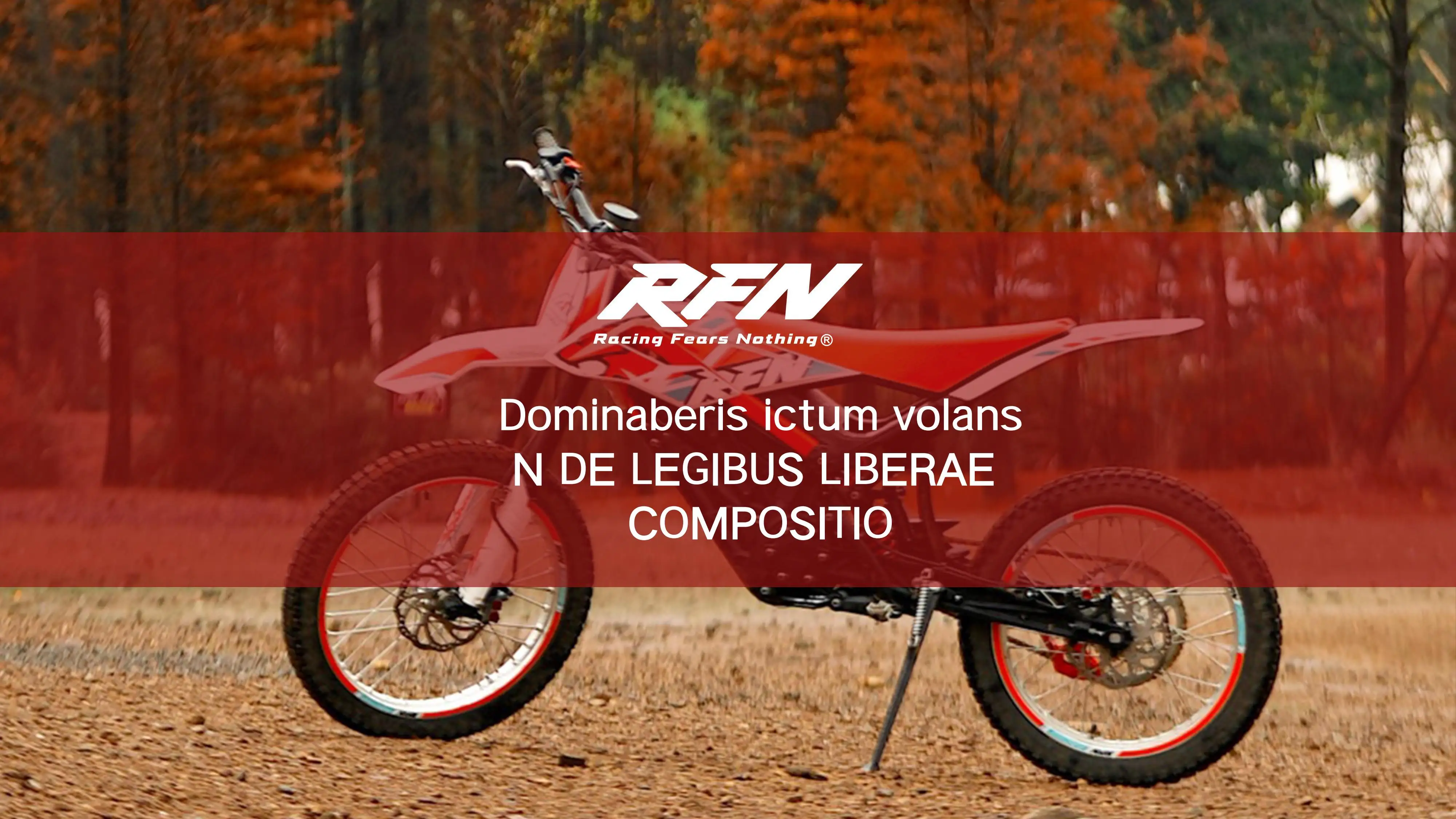 Apollo RFN Rally Pro - 6000W Electric Dirt Bike for Adults