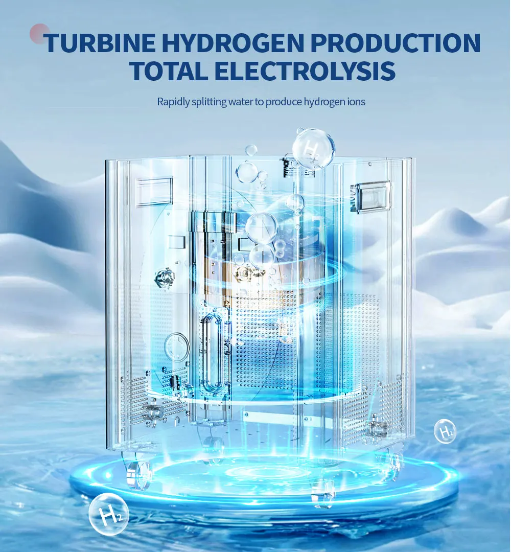 Suyzeko Electrolyzed Hydrogen Water Generator Alkaline Spe Pem Japanese ...