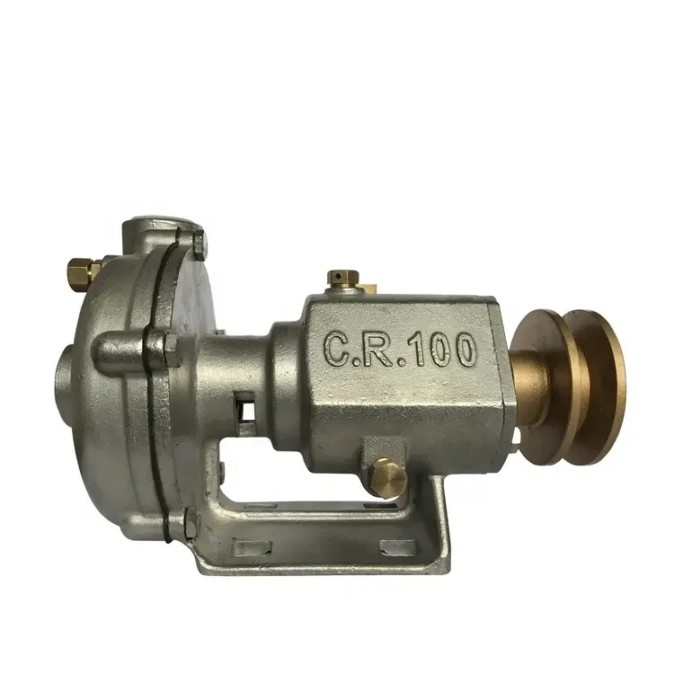 Stainless Steel Sea Water Pump for Marine Engines - CR100, CR125, CR150 ...
