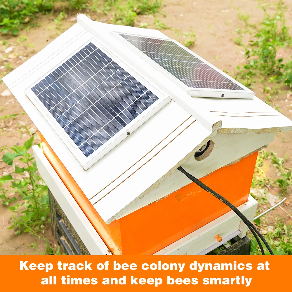 Smart Beehive - Maximize Production with Innovative System