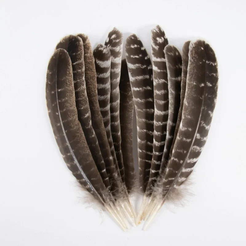 High Quality 10-12 Inch Turkey Wing Feathers Natural Smudge Feather for ...