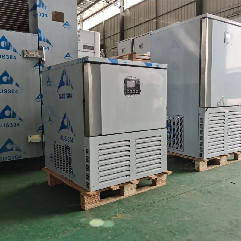 Industrial Freezers - Efficient Quick Freezing Solutions