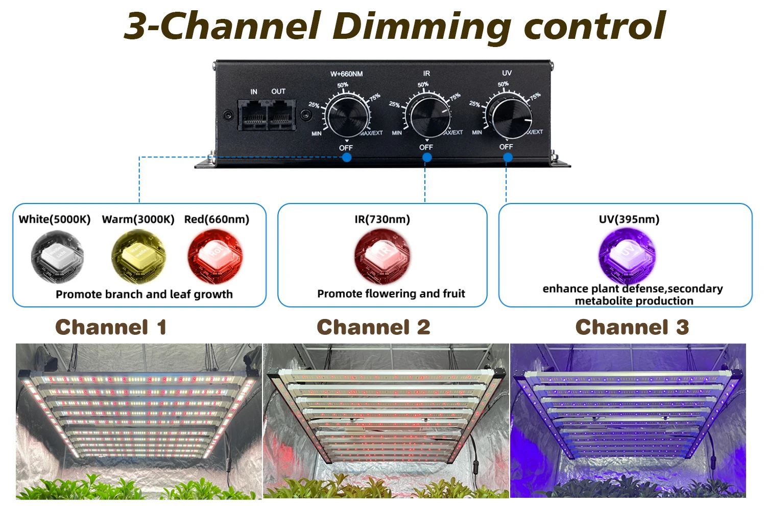 LM301H Evo 1000W Led Grow Lights - Customizable Plant Growth
