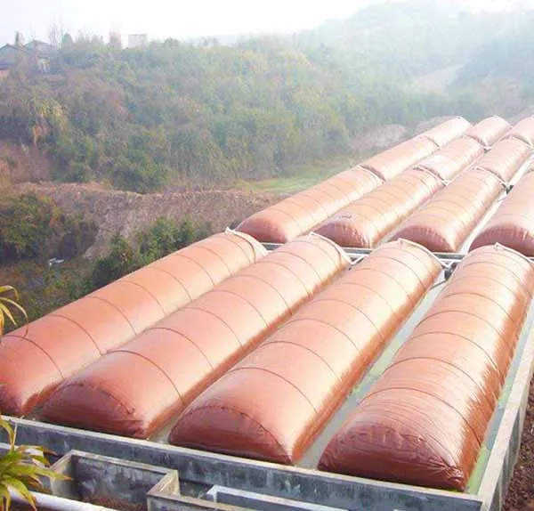 Red Mud PVC Biogas Digester - Efficient & Portable Solution