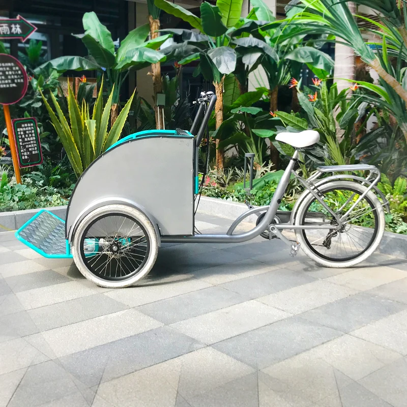 3 Wheels Electric Rickshaw Trike Bakfiets Pedicab Rickshaw For Carrying ...