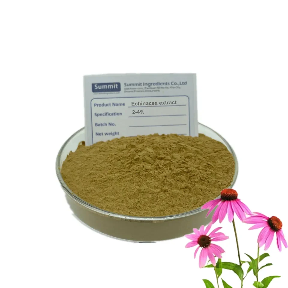 Wholesale 4% Polyphenols Powder Echinacea Purpurea Extract Polyphenols Powder - Buy 4% ...