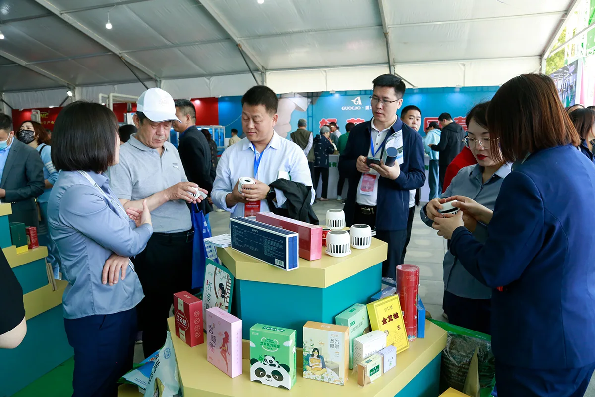 Moxa Moxibustion Warm Moxibustion Ginger Joint Shoulder and Neck Patch ...