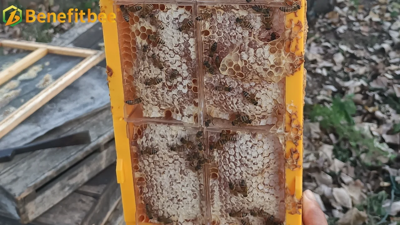 Wholesale 250g Transparent Comb Honey Box Bee Frames Plastic Comb Honey ...