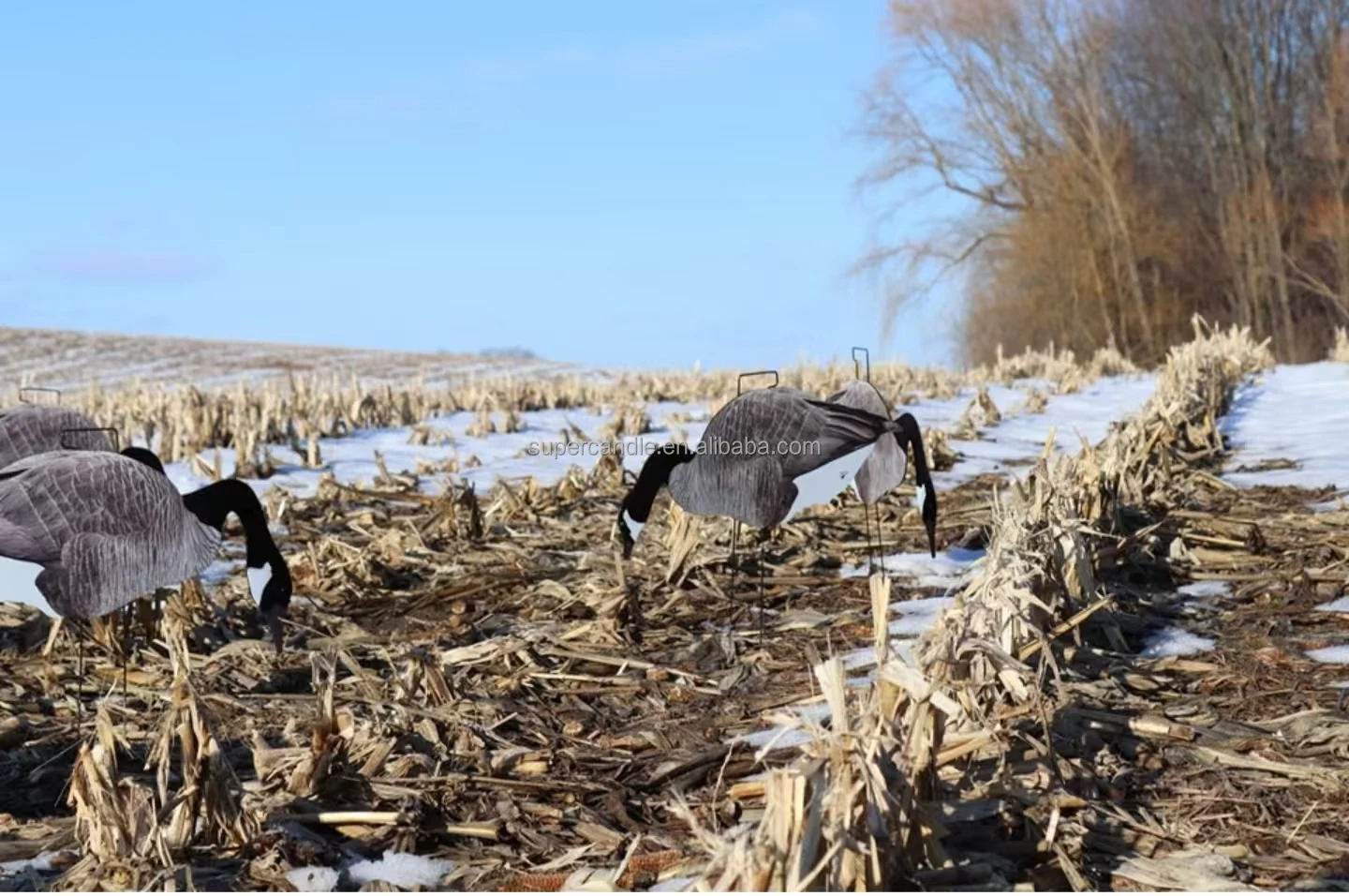 Feeder Silo Pusher Swimmer Pulsator Mallard Motion Hunting Duck Decoys ...