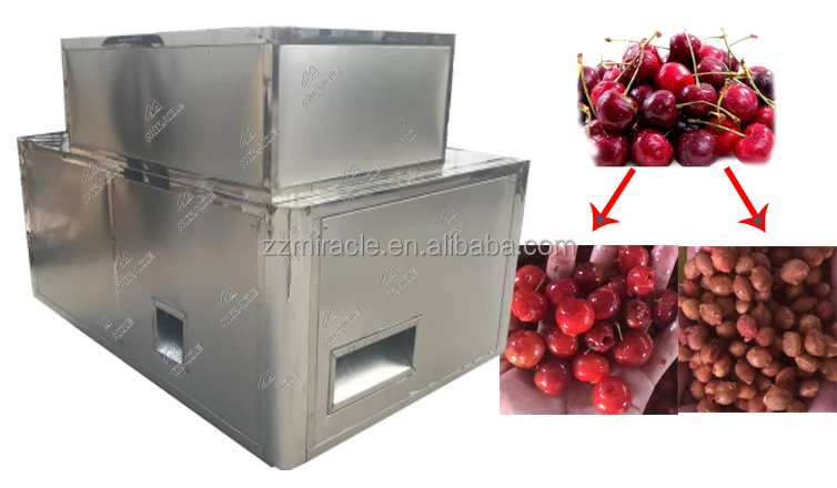 Industrial Cherry Pitting Machine with High Pitting Rate & Cherry Seed ...