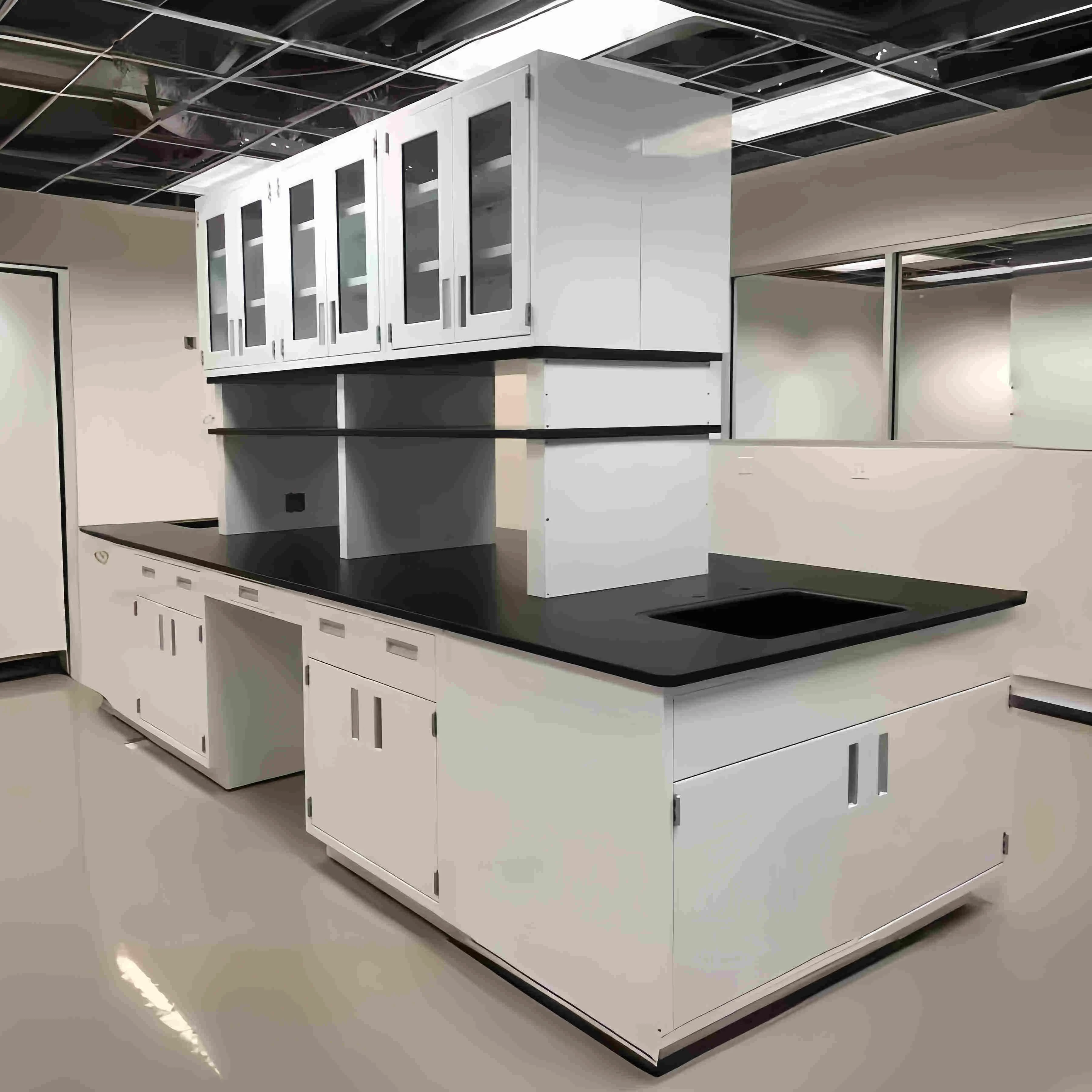 OEM Medical Chemical Biology Wood Steel Island Wall Lab Bench ...