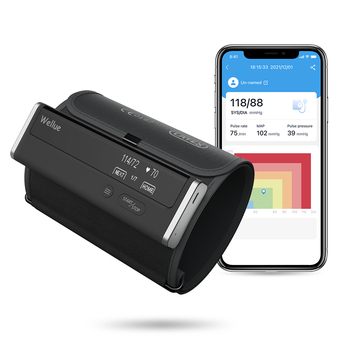 Wellue Bp2 Wifi Blood Pressure With Blue Tooth And Ecg Electronic ...