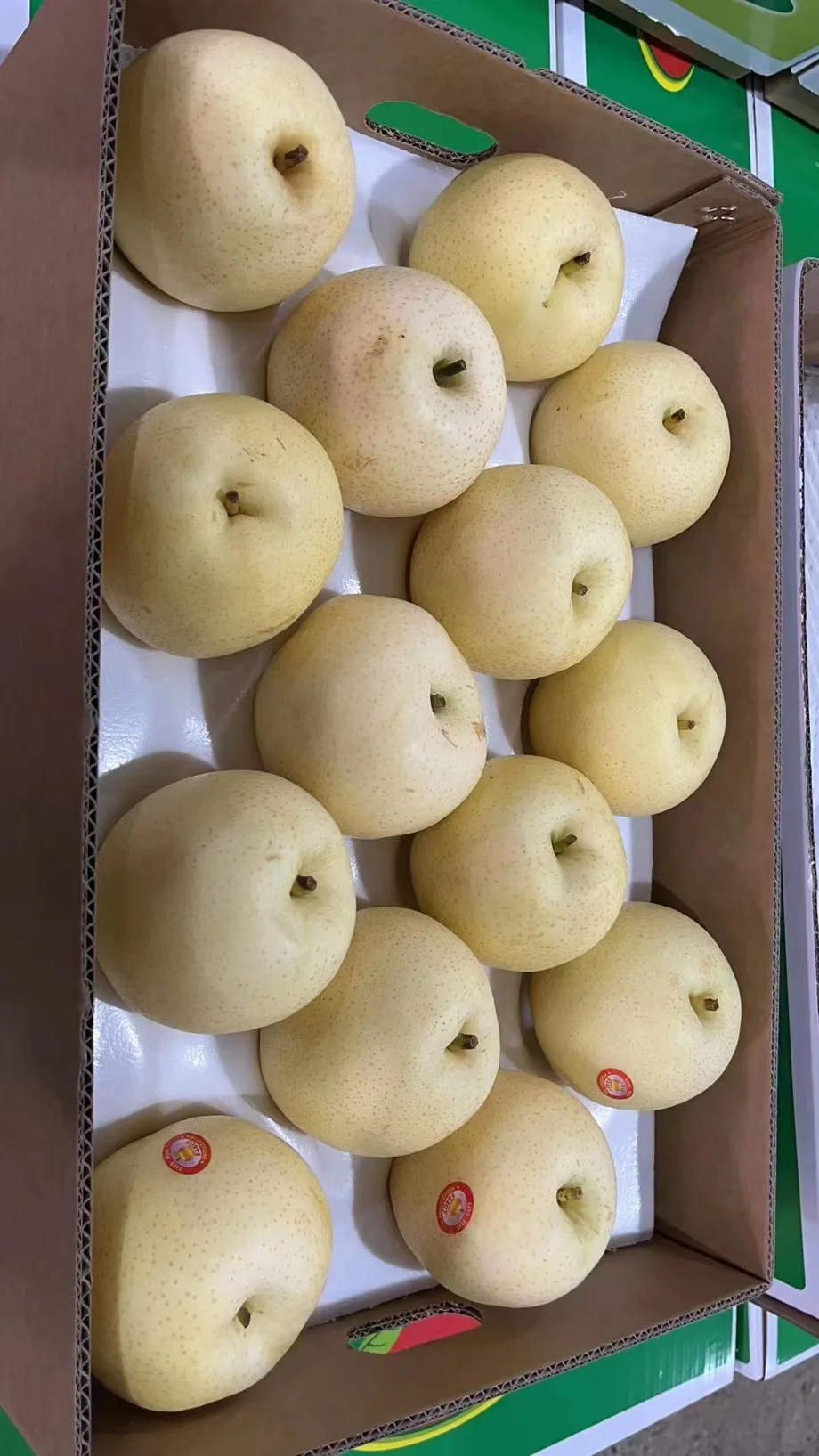 The Best 2022 New Fresh Apple With Fresh Apples From Apple Gardens For Export - Buy Good Fresh ...