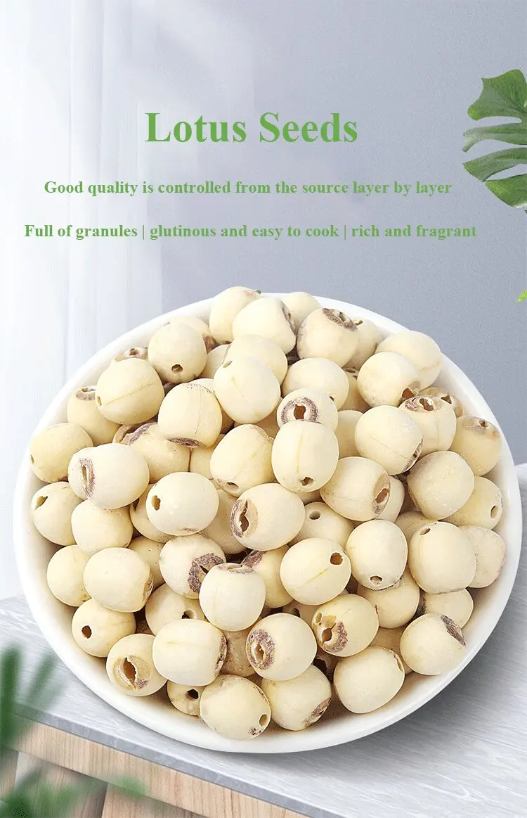 Dried White Hand Shelled Lotus Seed - Buy Top Quality Export Best Price ...