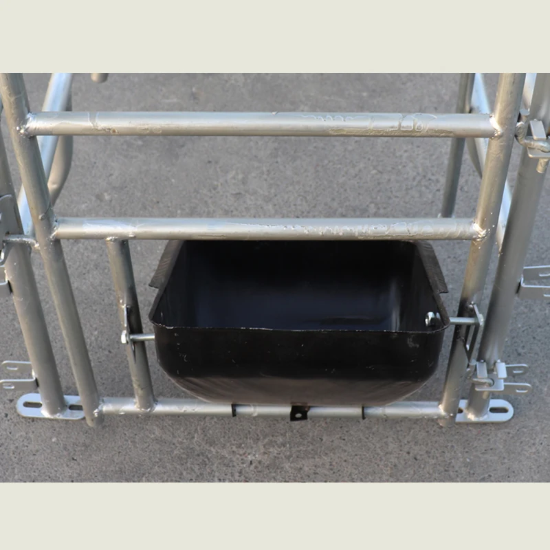 Gestation Cage Pig Farming Equipment - Efficient & Durable