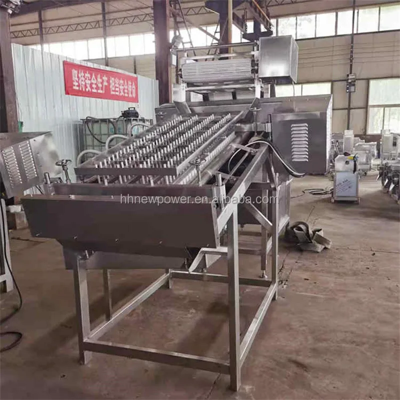 Fresh Prawn Shrimp Washing Peeling Grading Machine 12 Rollers Shrimp ...