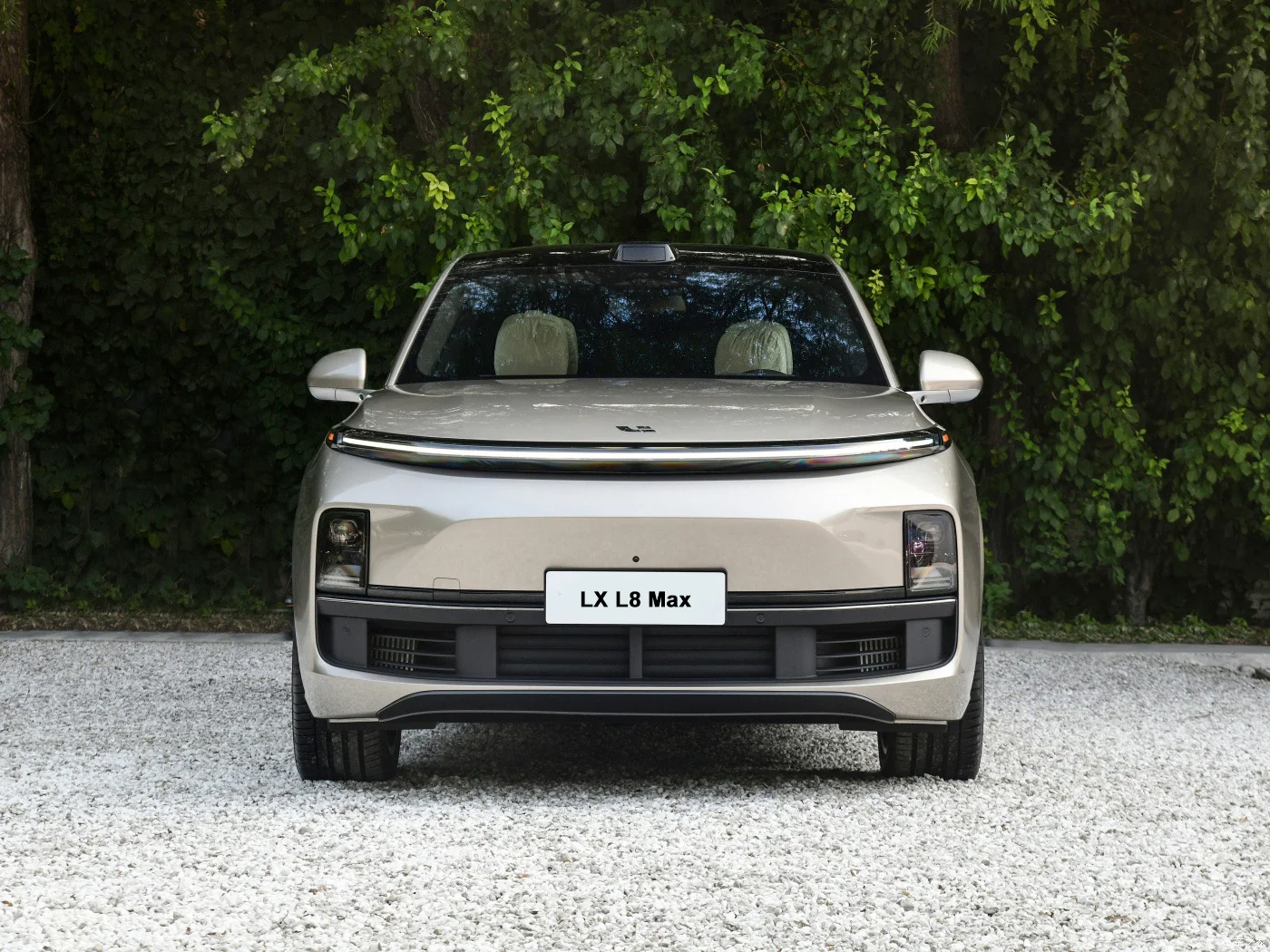 Luxury 6 Seats Electric Suv Li L8 Max Version 1.5t China Cheap Electric ...