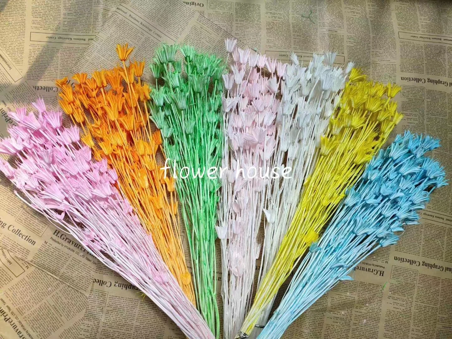 Wholesale White Dried Flowers Nigella Orientalis - Octagon Flowers