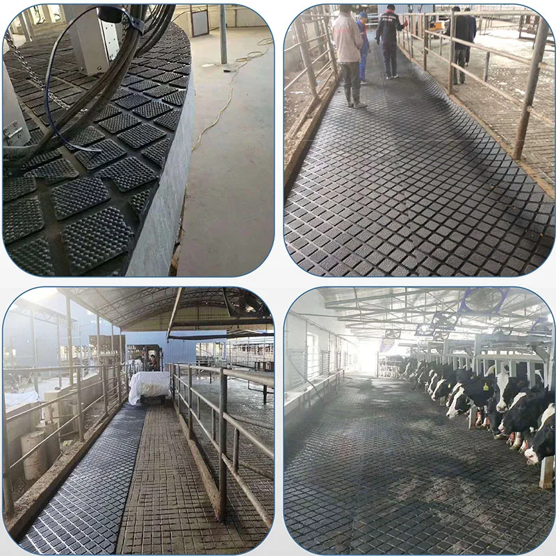 Rubber Mats for Dairy Cows - Durable & Anti-Slip Flooring