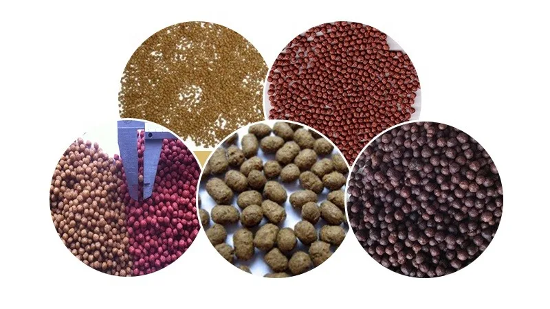 Automatic Twin Screw Fish Feed Extruder 2 Tons Per Hour Floating ...