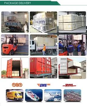 Carton Box Vibration Digital Flatbed Cutter Corrugated Box Sample Cut ...