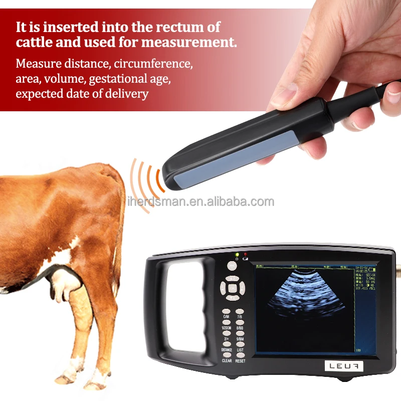 Portable Cow Pregnancy Test Kit Veterinary B Ultrasound Scanner Animal ...
