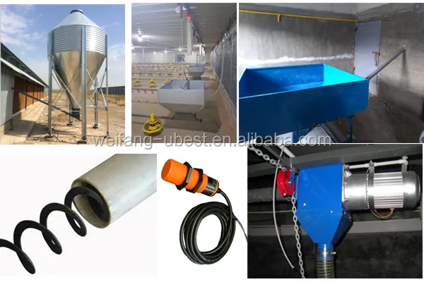 Automatic Broiler Chicken Feeding System for Poultry Farm
