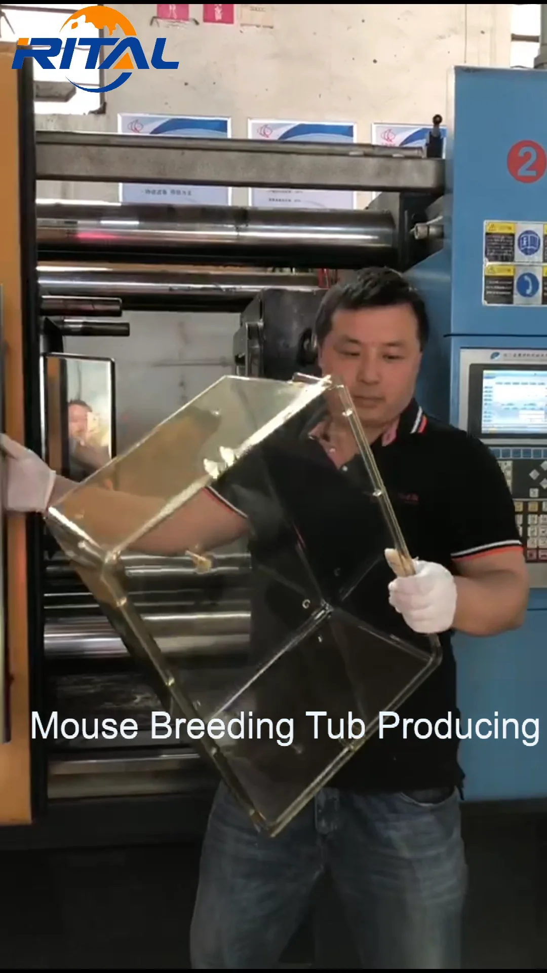 Metal Reptile Breeding Rack Pvc Pp Plastic Snake Reptile Feeding Box ...