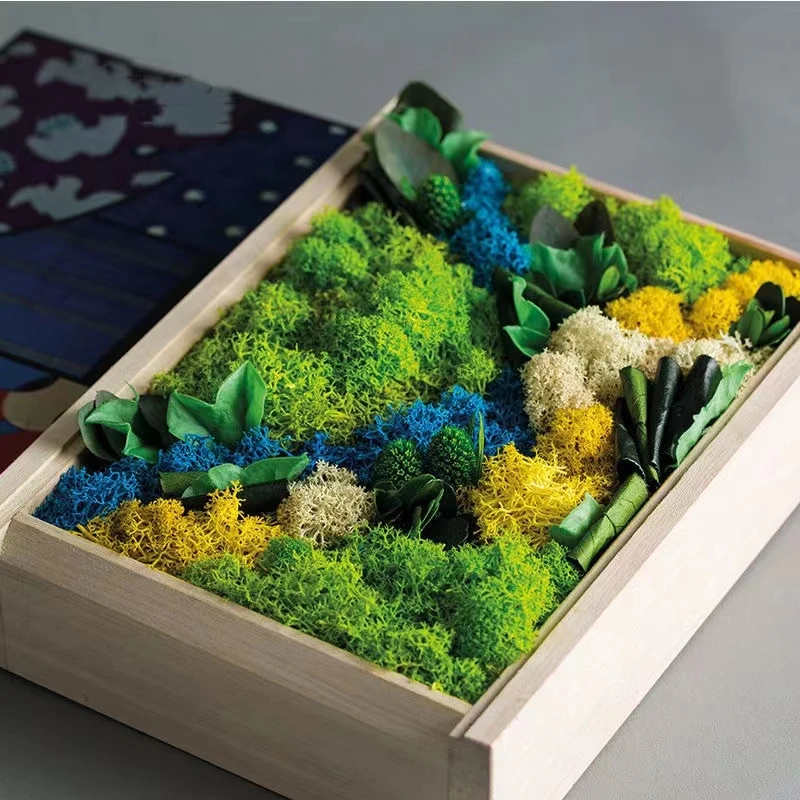 Wholesale Multi-color Preserved Reindeer Moss For Decoration, Oem Available