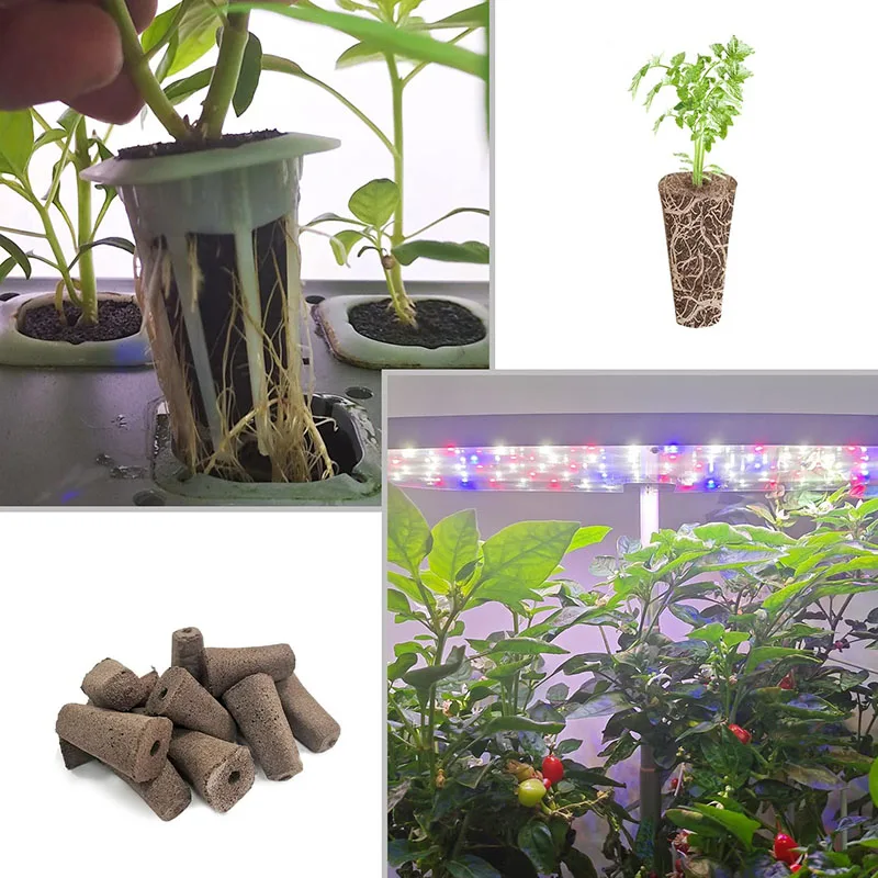 Hydroponics Growing Soil Plant Seed Pod Sponge Grow Sponges Seed ...
