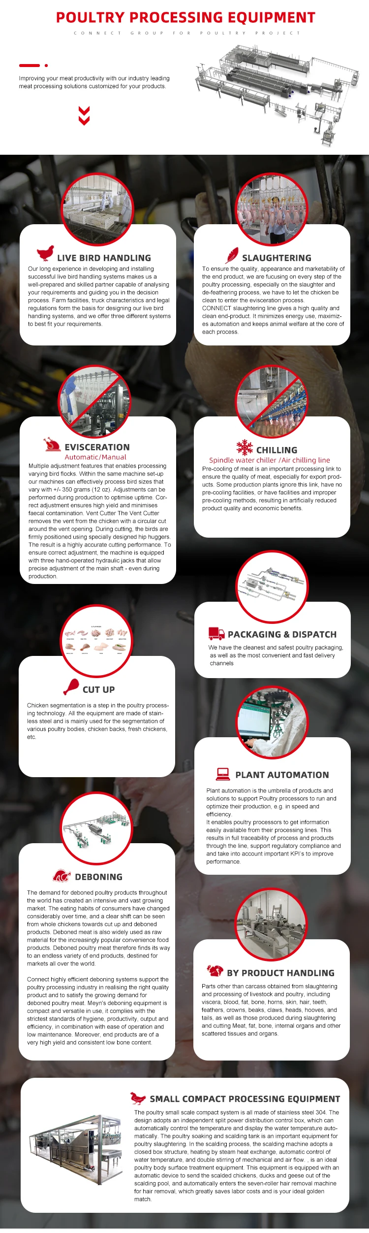 Automatic Poultry Defeathering Equipment - High Efficiency