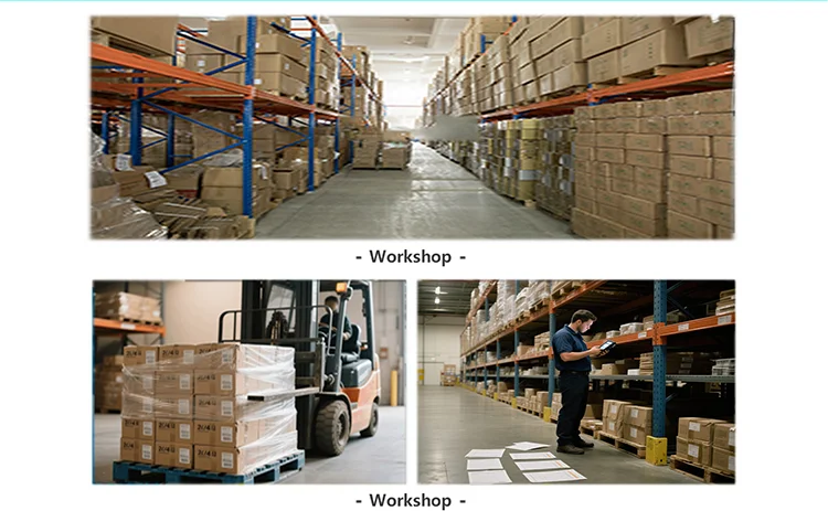 Forever Stamps 2024 Carrier Pigeon love Original Postcard Posting Print ...