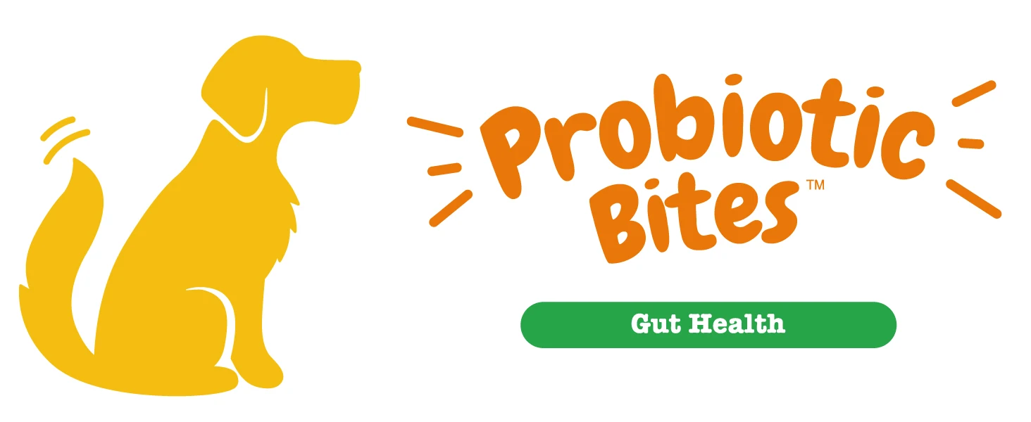 Professional Custom Brand Logo Pet Multivitamin Chew Cat Nutrition ...