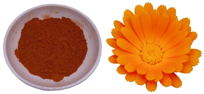 Marigold Flower Extract Water Soluble Lutein Powder 5% - Buy Water Soluble Lutein,Water Soluble ...