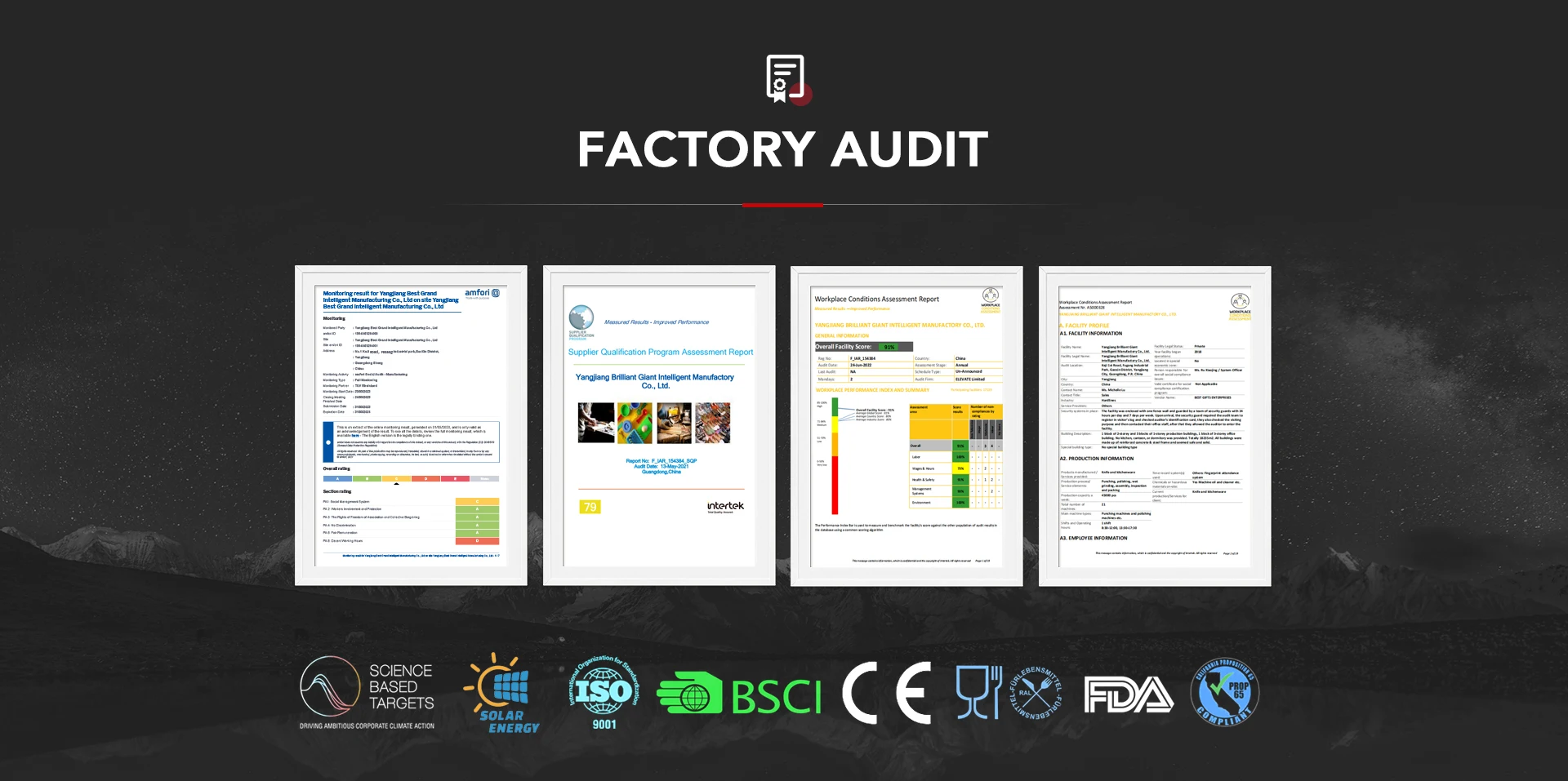 Company Overview - Guangdong Mystic Technology Co., Ltd.