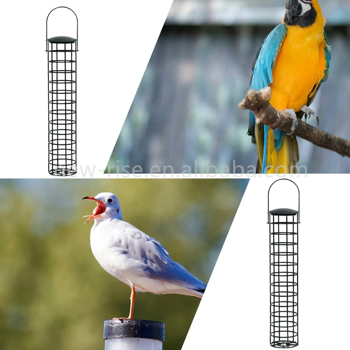 2 Pack Wild Bird Suet Feeder Hanging Bird Feeder for Outdoor Park ...
