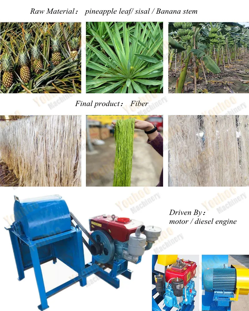 Small Industrial Sisal Processing Machine Sisal Fiber Machine Sisal ...